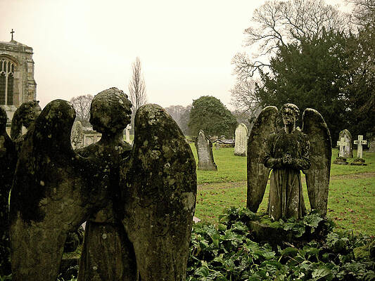 Raddatz Art - Fine Art America