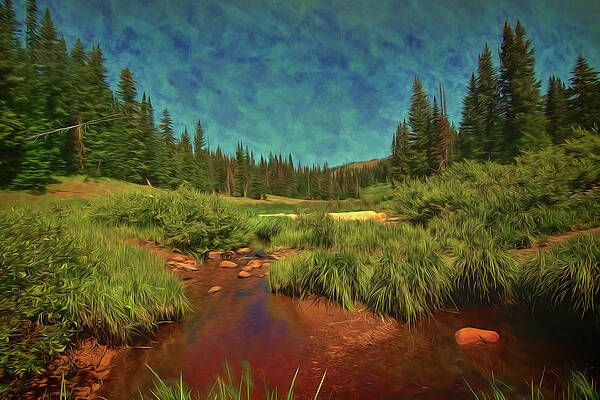 Brookie Art for Sale - Fine Art America
