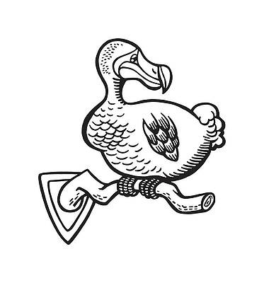 how to draw dodo bird step by step