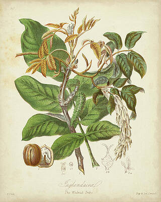 Twining Art - Fine Art America