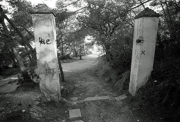 James Harrell - Art for Sale | Fine Art America