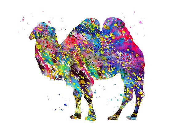 Bactrian Art | Pixels Bactrian Art | Pixels