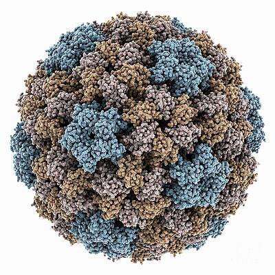 Cmv Art - Fine Art America