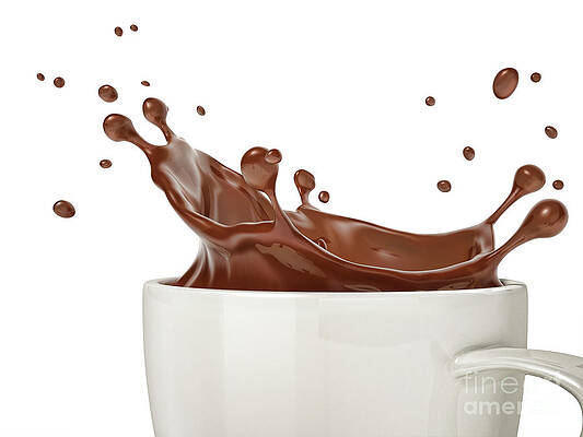 Chocos Photos Fine Art America