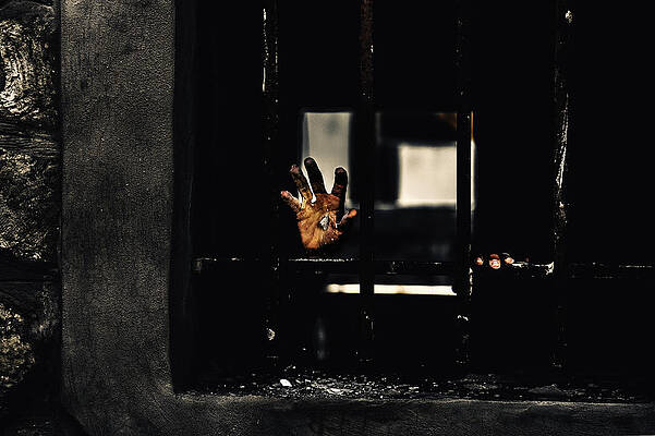 Rabia Wall Art for Sale - Fine Art America