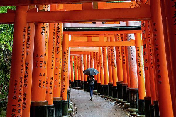 Inari Wall Art | Pixels