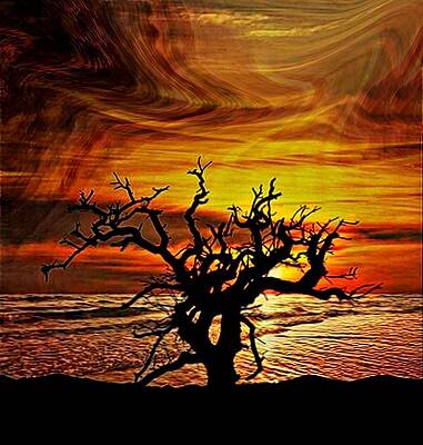 Parella Art - Fine Art America