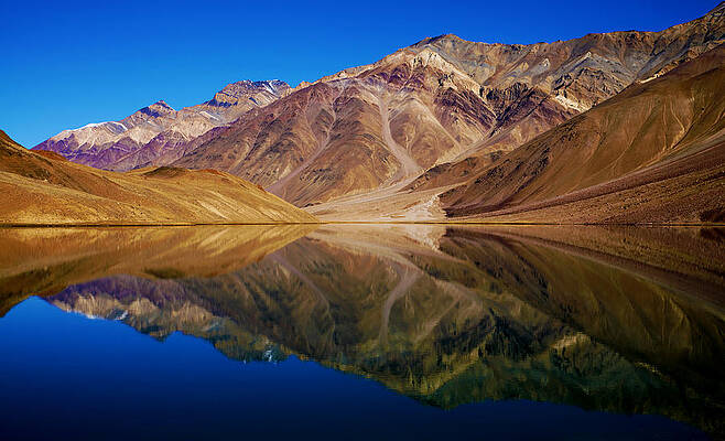 Subhash Art - Fine Art America