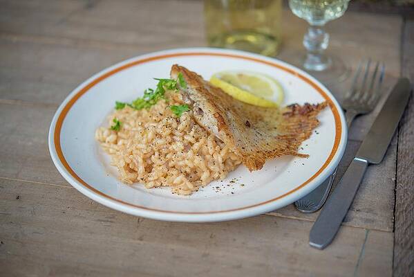 Flatfish Art | Fine Art America