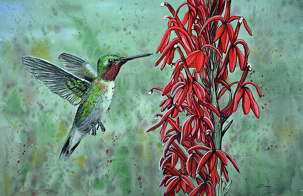 Stephen Emms - Official Website