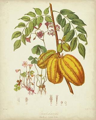 Twining Paintings - Fine Art America