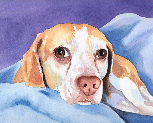 Bobsled Paintings - Fine Art America