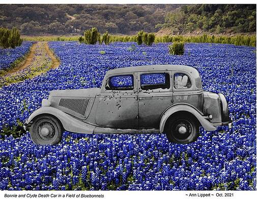 Ann Lippert - Art for Sale | Fine Art America