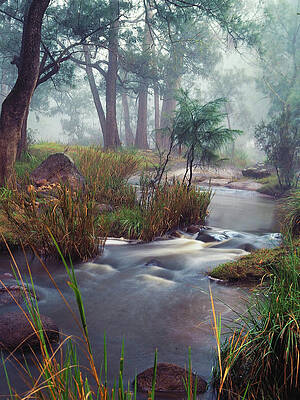 Bette Devine Art for Sale | Fine Art America