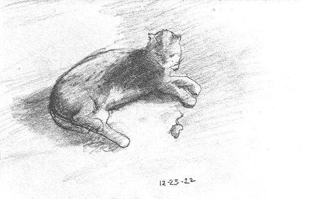 how to draw cat and mouse