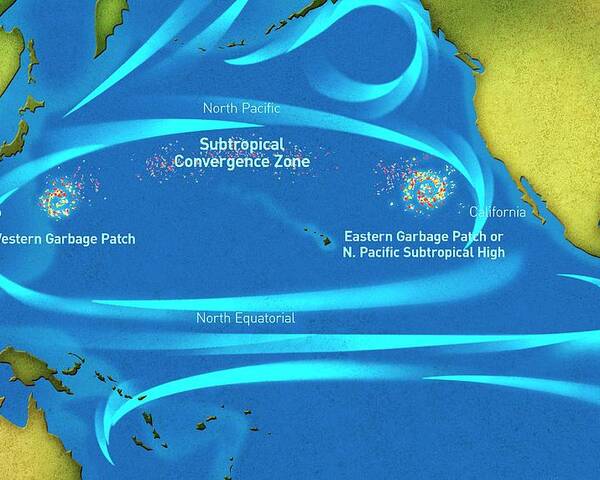 The Great Pacific Garbage Patch Map