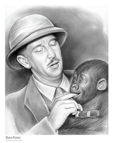 Perkin Drawings for Sale | Fine Art America