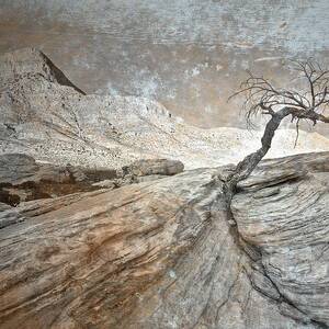 when I am away Photograph by Mark Ross - Fine Art America