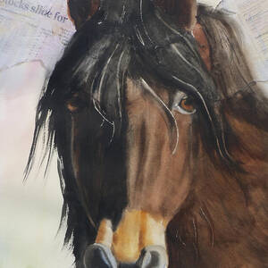 Andalucian Boy Painting by Pixie Glore - Fine Art America