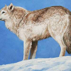 Wolf Pups - Anybody Home Painting by Crista Forest - Pixels