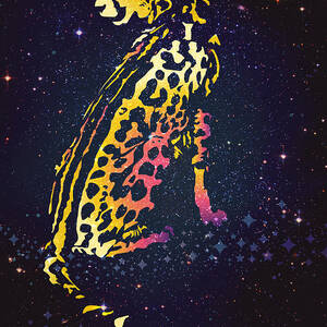 Traveling Camera Digital Art by Disko Galerie | Fine Art America