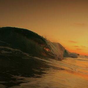 Half Moon Cay Barrel Photograph by Daniel Rainey - Fine Art America