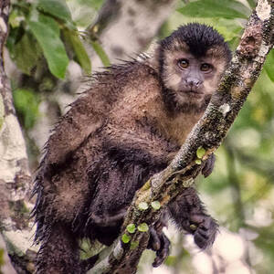 Virgin River in Zion Photograph by Jon Berghoff - Fine Art America