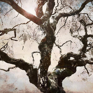 Bow Maiden Digital Art by April Moen - Fine Art America