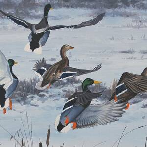 Reflections Painting by Peter Mathios | Fine Art America