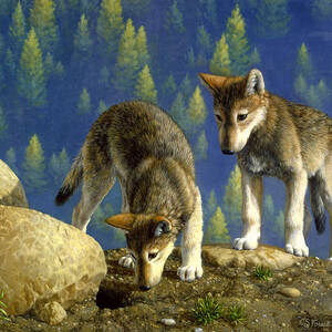 Wolf Painting - Night Watch Painting by Crista Forest | Pixels