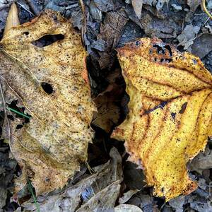 Disintegration Photograph by Rick Rauzi - Fine Art America