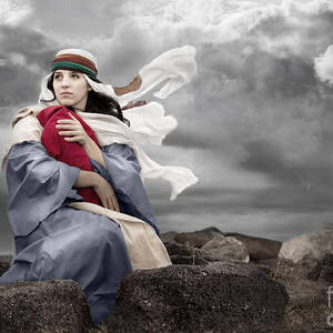 Christmas Tree in the City Photograph by Cindy Singleton - Fine Art America